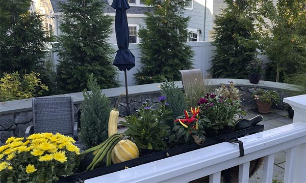 Can my garden help fight climate change? - Gardens by Demetra